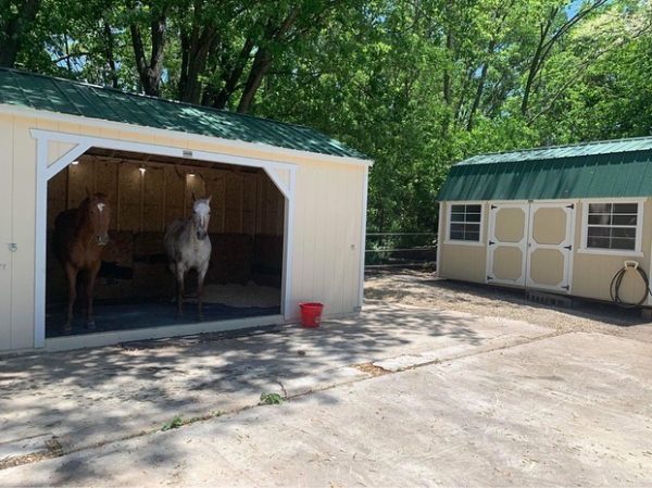 Animal Sheds | Small Animal Barns | Old Hickory Buildings & Sheds